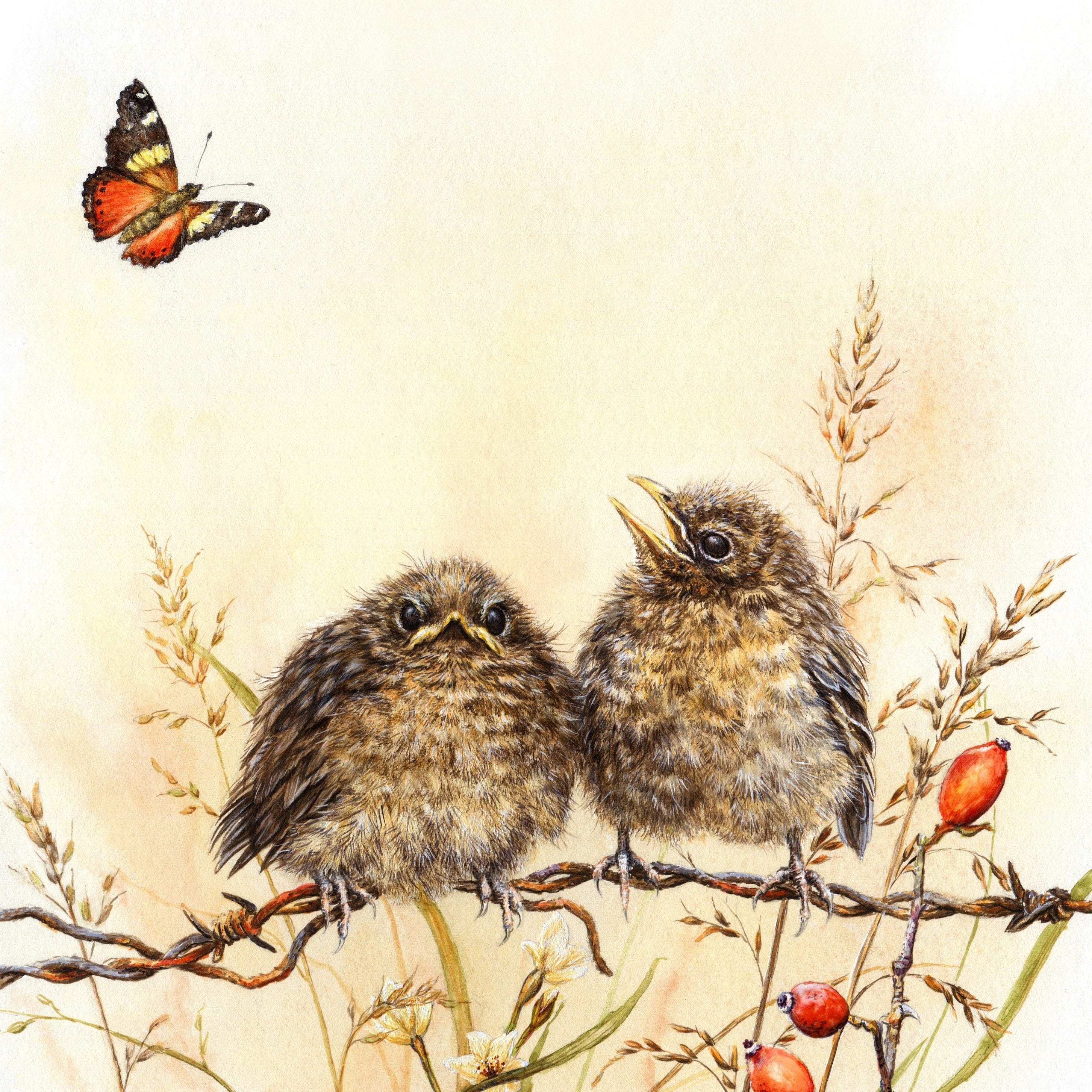 Feathers & Fluff Collection - Original Paintings of Birds & Animals ...
