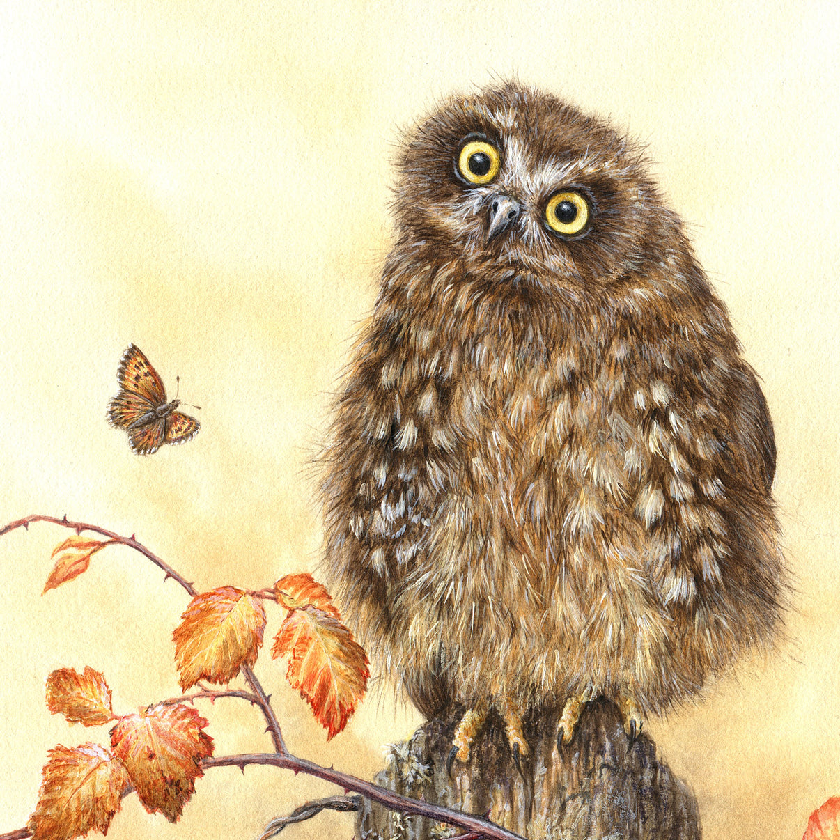 Morepork Owl Painting for Sale by NZ Artist - Native Ruru, Butterfly ...