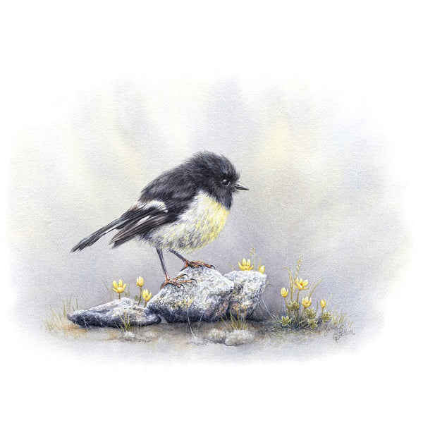 NZ Tomtit Painting - Native Bird Wall Art – Mousewhisker Studio
