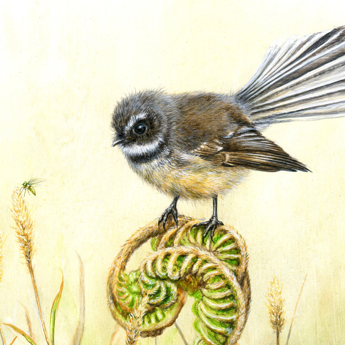 Fantail Art - NZ Bird & Fern Wall Print - Piwakawaka – Mousewhisker Studio