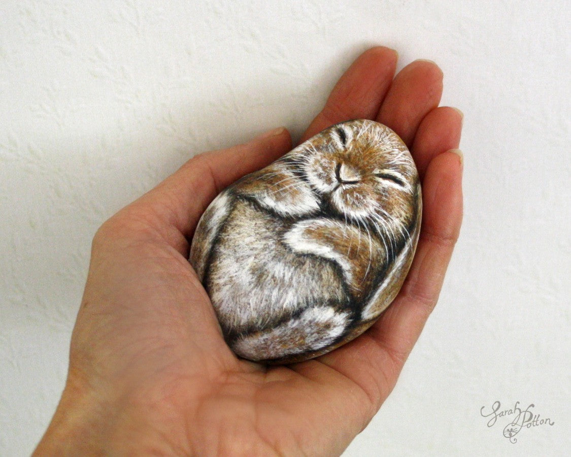 Painted Rocks: NZ Animal Stones and Pebble Pets - Rock Art by Sarah ...