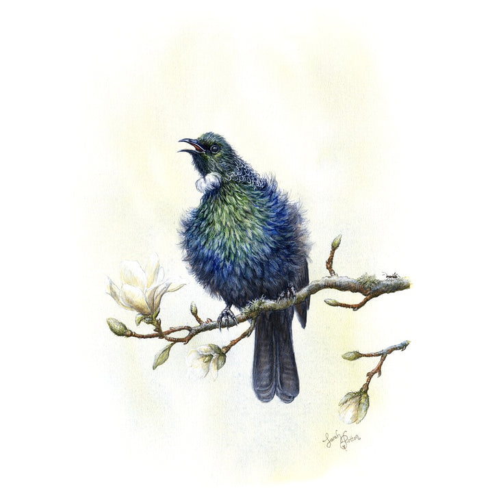Tui Painting - NZ Bird Original Art for Sale – Mousewhisker Studio