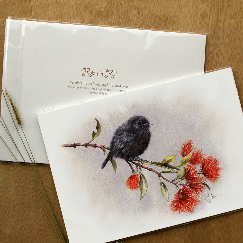 NZ Black Robin & Pohutukawa Prints for Sale - Kiwiana Decor ...
